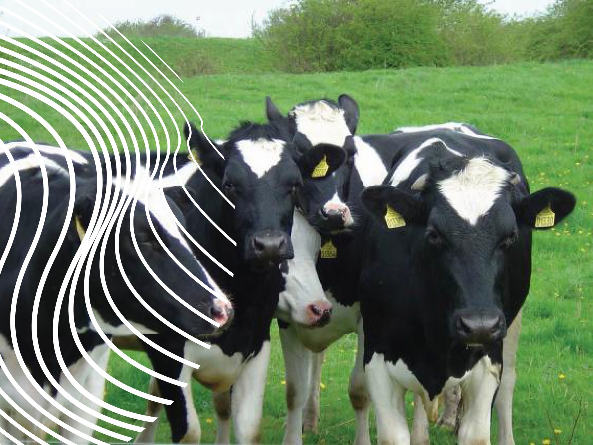 COVID-19: Practical guidance for our rural and farming clients #9 - 07 ...