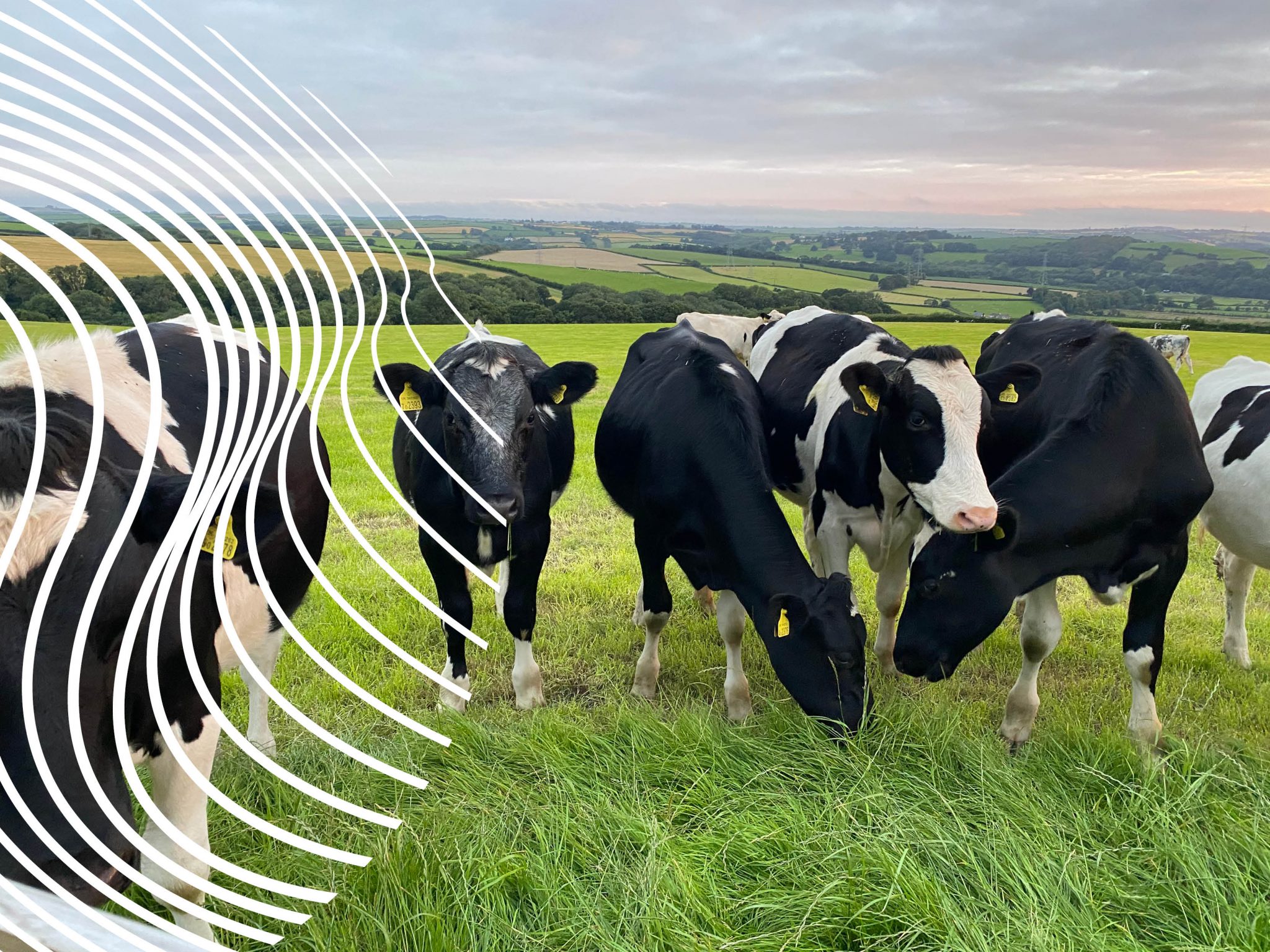 COVID-19: Practical guidance for our rural and farming clients #22 - 26 ...