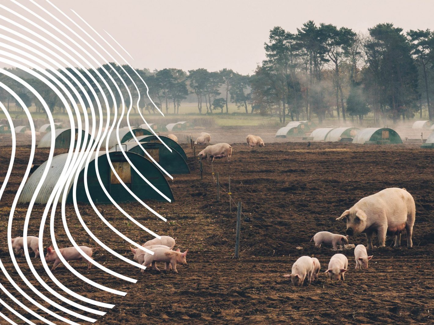 Andrew Vickery - Old Mill